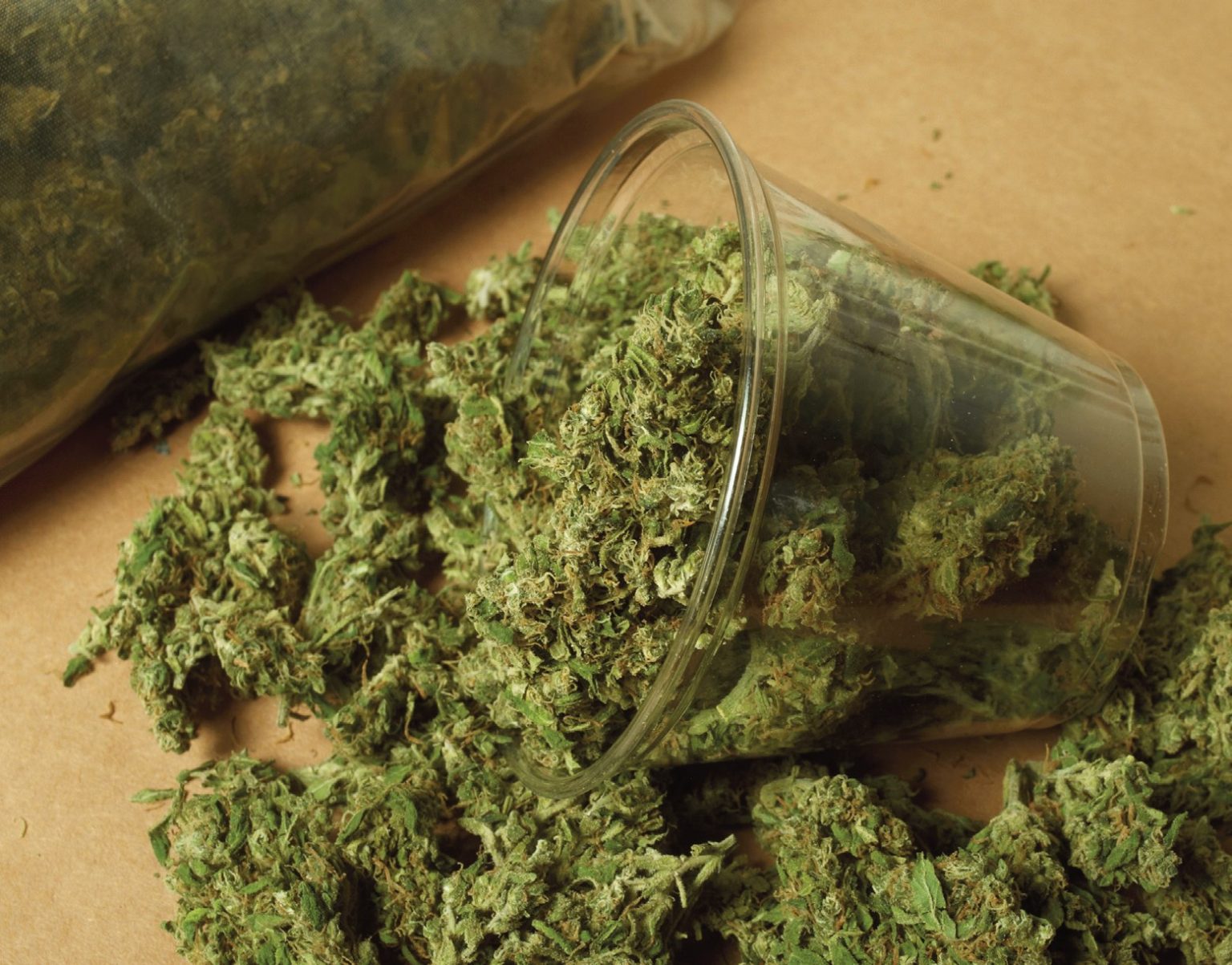 Florida takes early steps to advance recreational marijuana question to next year’s ballot ...